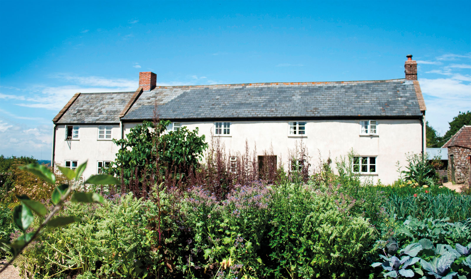 TV series – River Cottage | Bidwell Farm Cottages